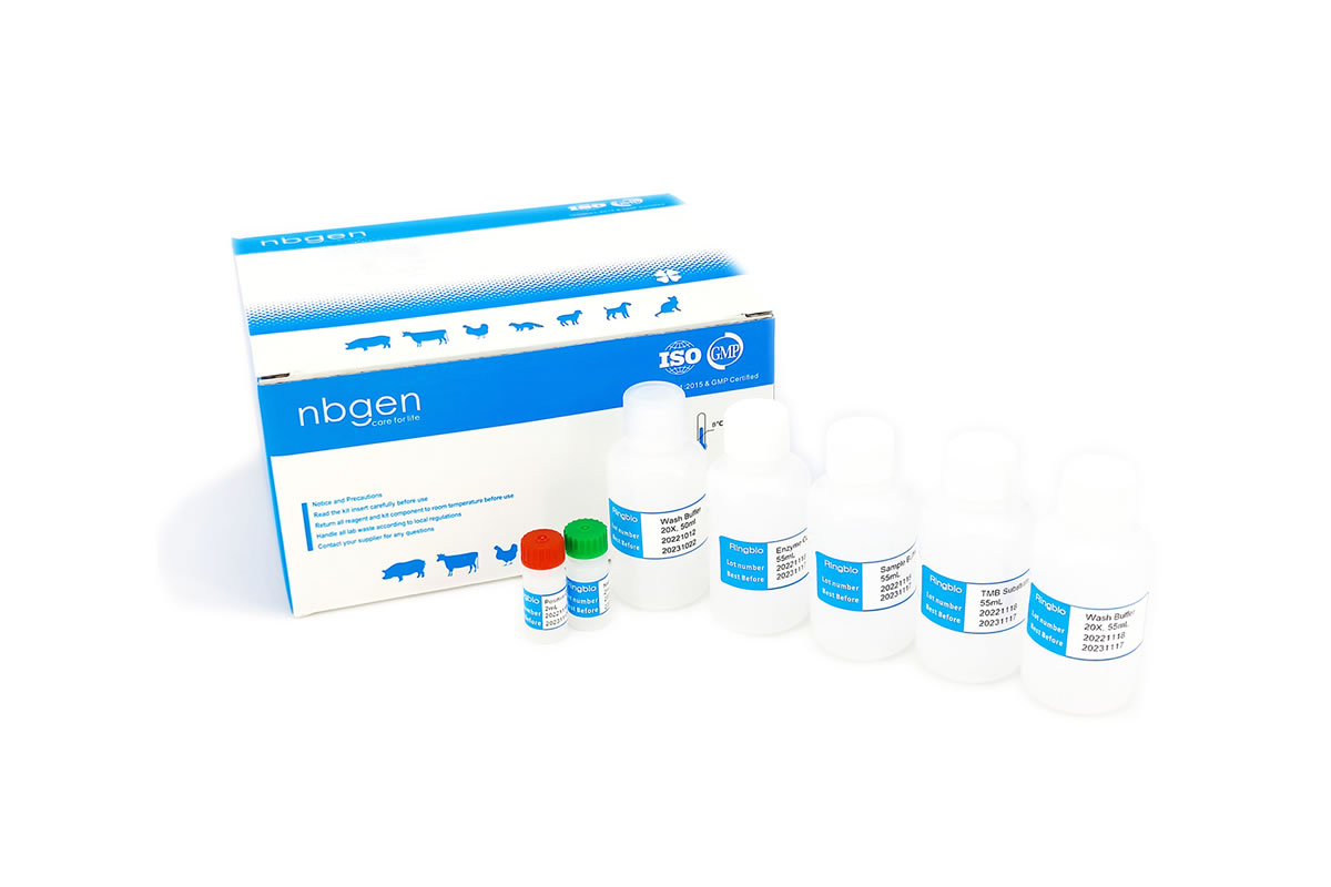 Foot-and-Mouth Disease, FMD Serotype O antibody ELISA Kit